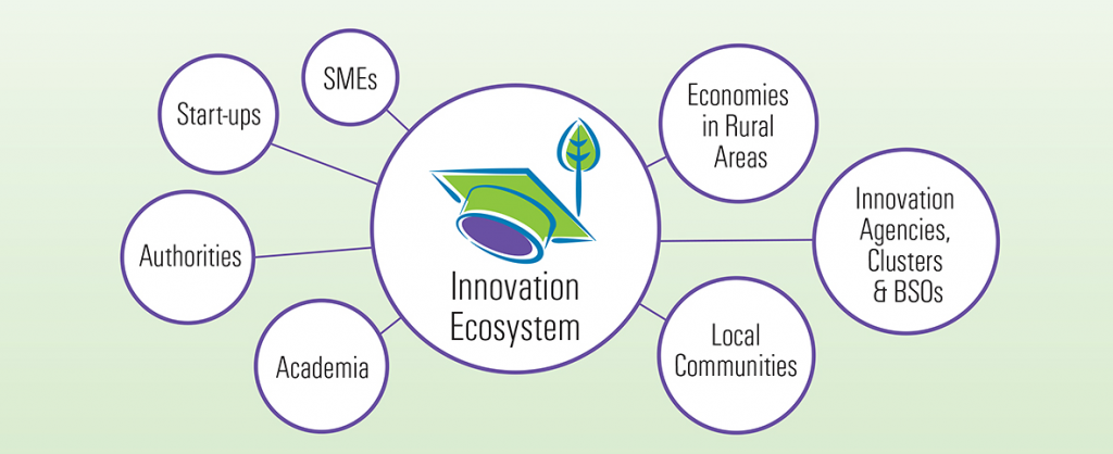 BIO-Boost – Boosting innovation agencies for bioeconomy value chains